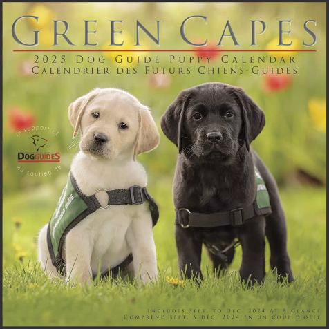 Calendar Sales Program | CSP Green Capes Dog Guide Calendar